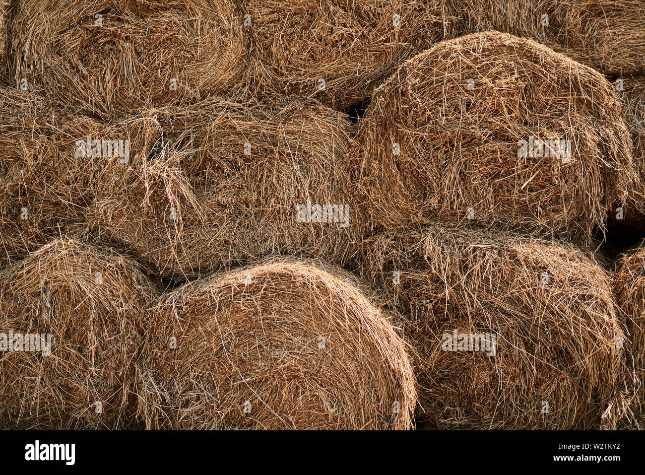 harvested hay stacks Stock Photo - Alamy