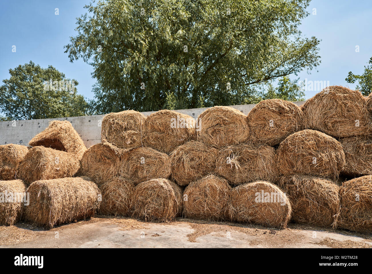 harvested hay stacks Stock Photo - Alamy