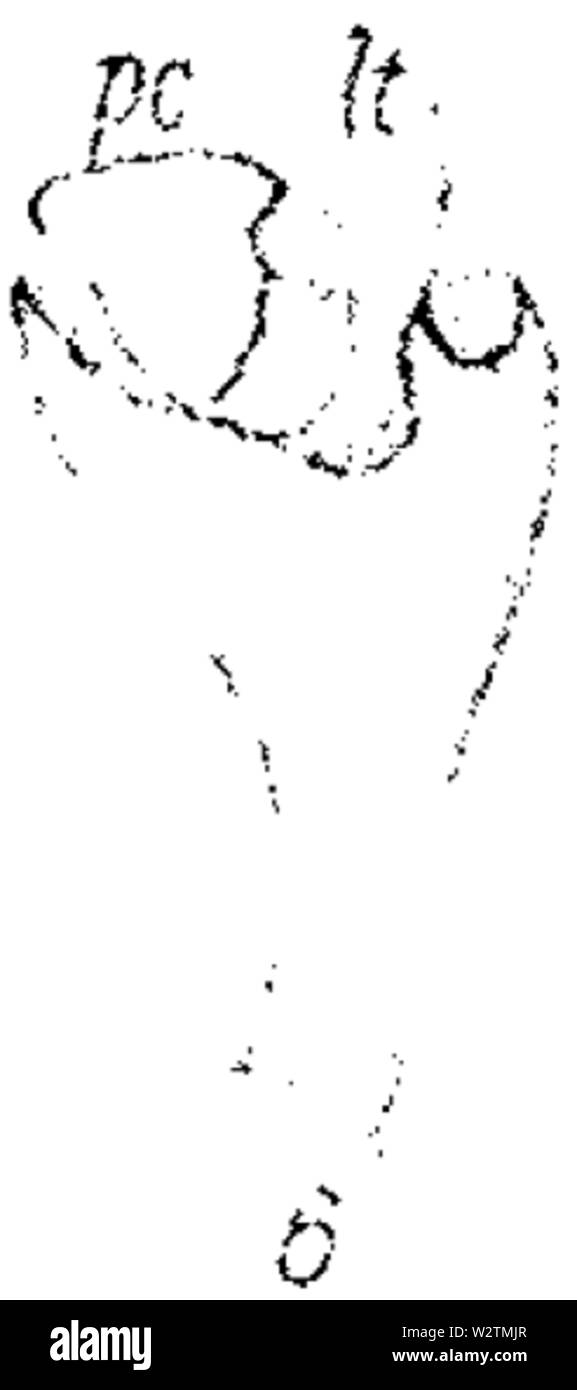 Erigone hi-res stock photography and images - Alamy