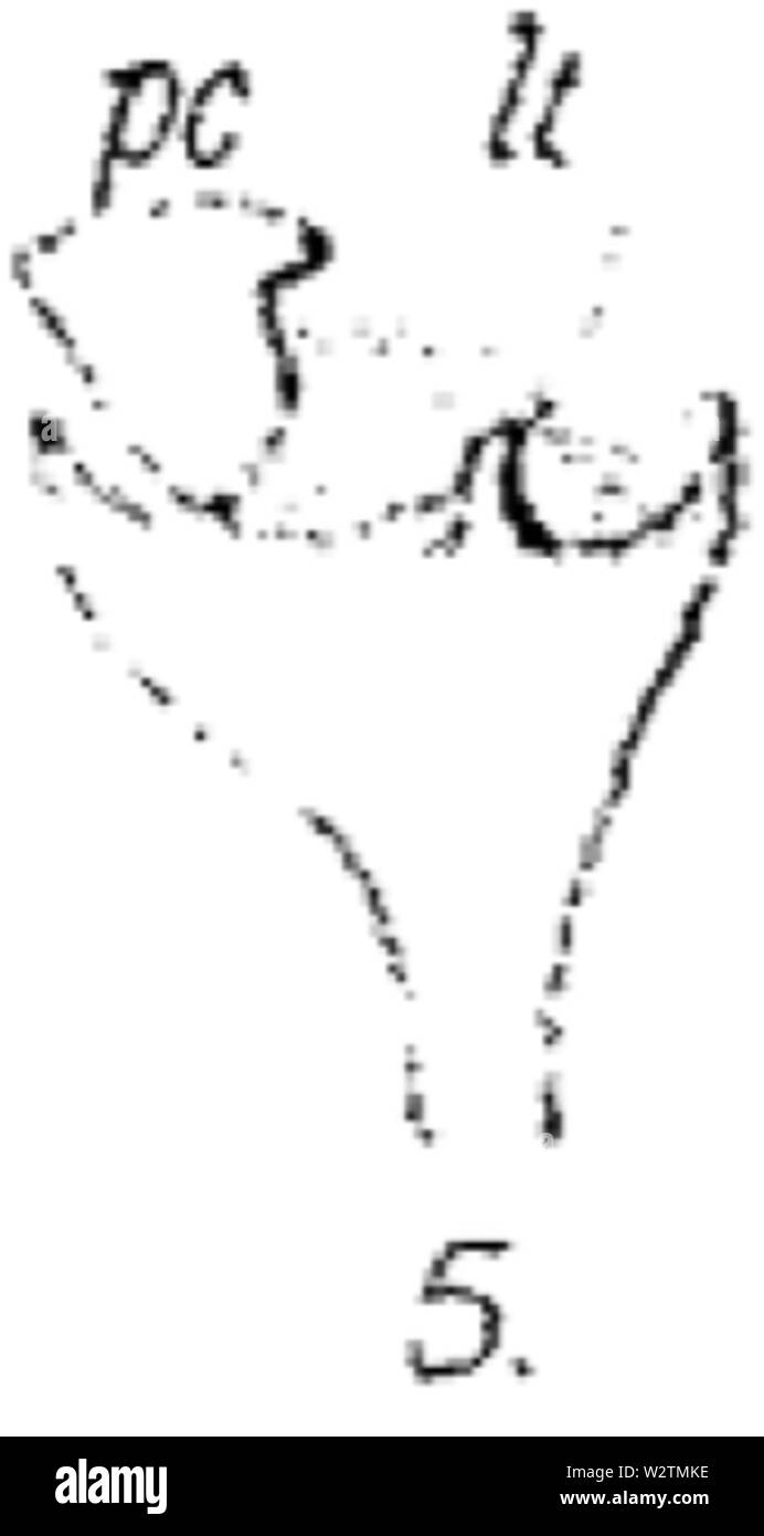 Erigone hi-res stock photography and images - Alamy