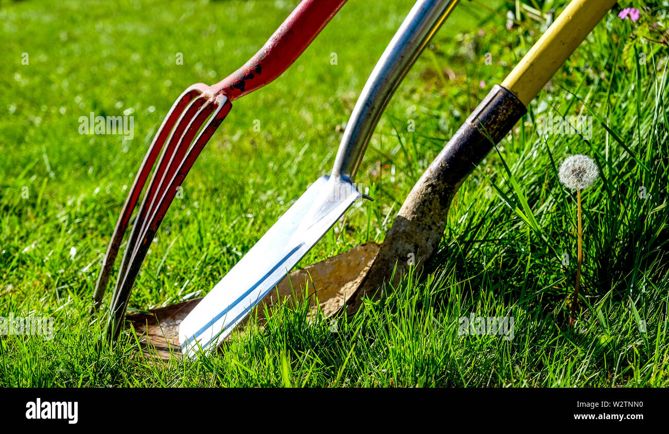 A red gardening fork a gardening spade and a gardening shovel with a ...