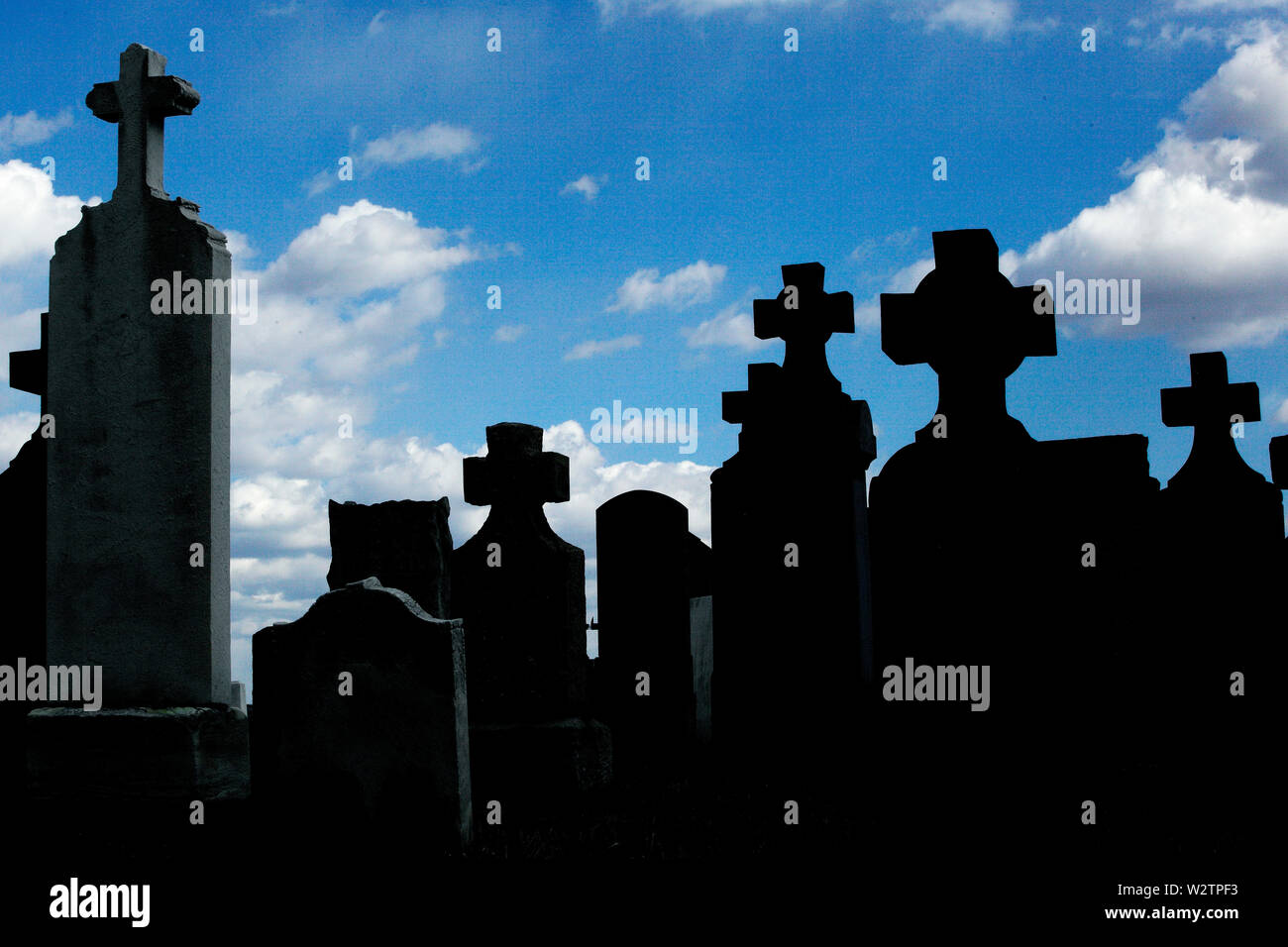 Mob scenes in Brooklyn and the Queens neighborhood. The Calvary ...