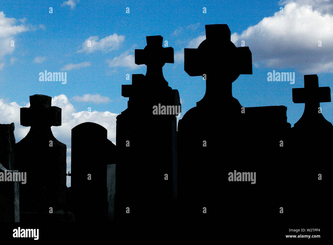 Mob scenes in Brooklyn and the Queens neighborhood. The Calvary ...