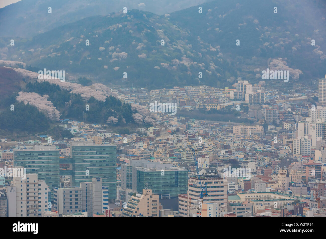 Aerial view of the Busan cityscape from Busan Tower at Busan, South ...