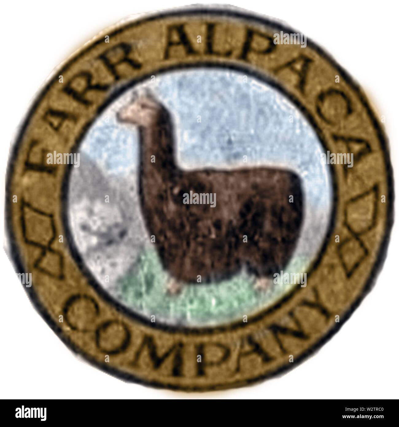 Farr Alpaca Company Stock Photo - Alamy