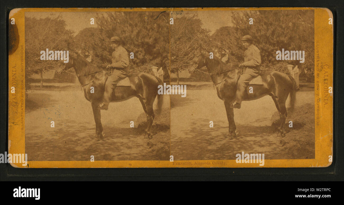 Fernside, Alameda County, by Bradley & Rulofson Stock Photo - Alamy