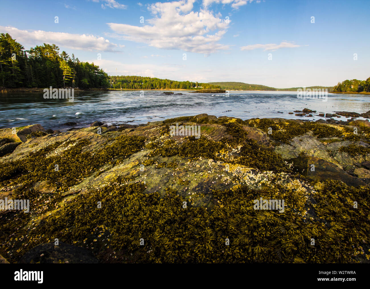 Tidal Falls Preserve, Maine Stock Photo - Alamy