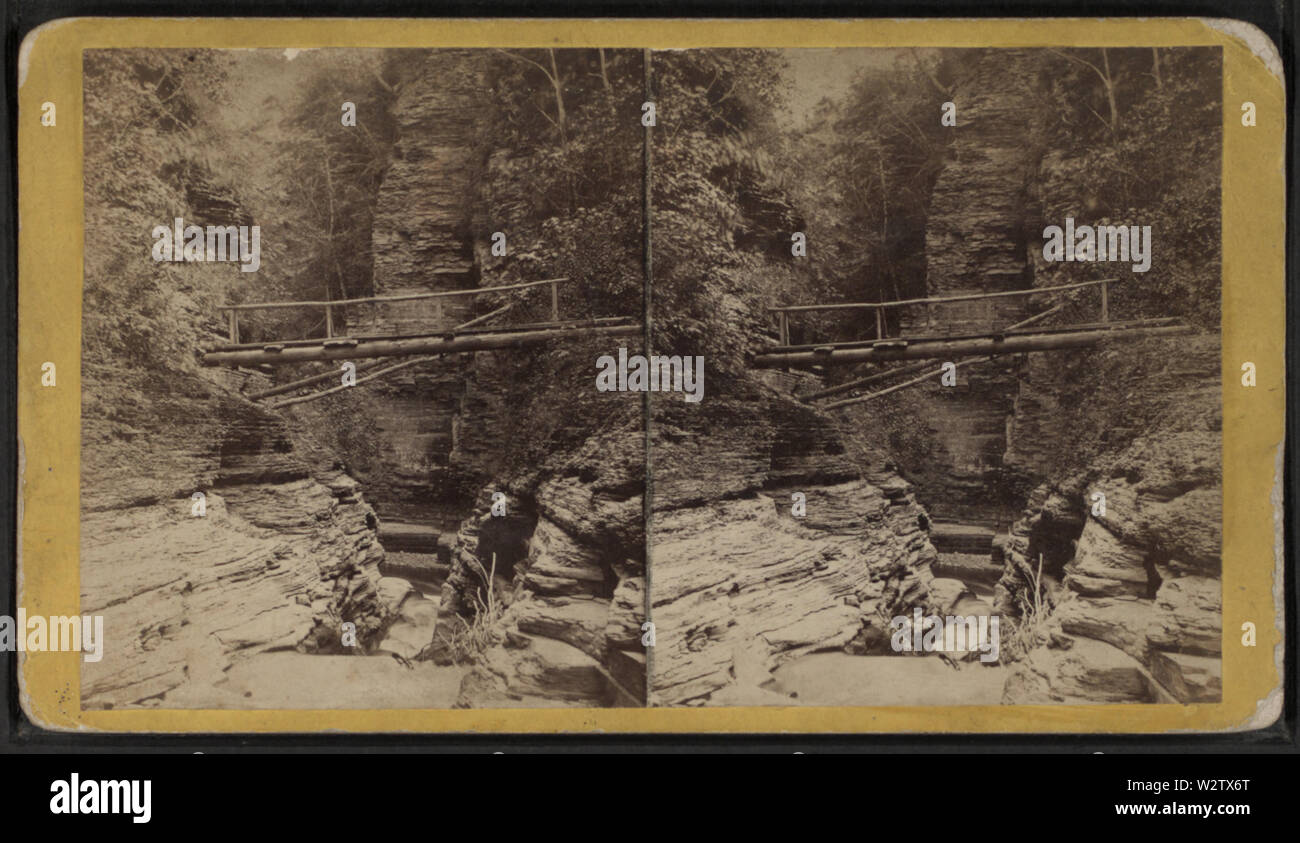 Foot bridge over the flume, Enfield Ravine, by E & HT Anthony (Firm ...