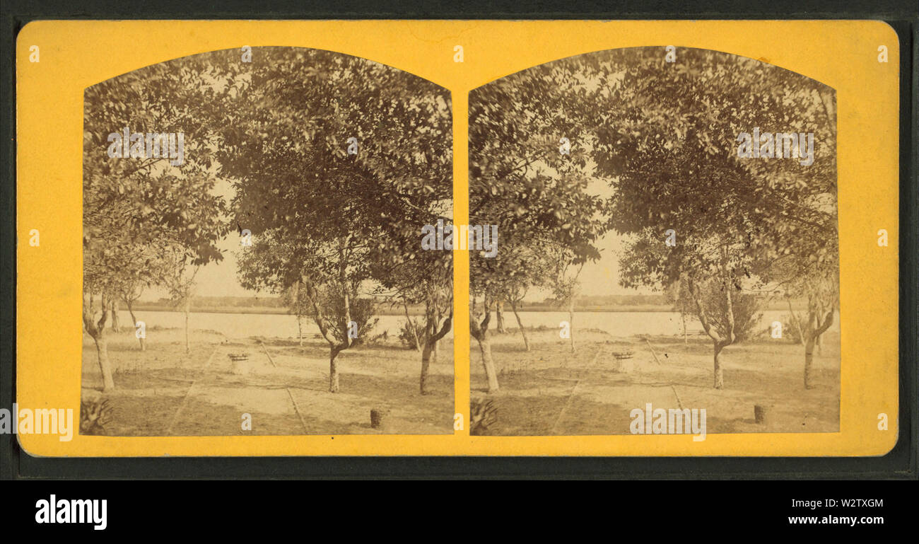 Fort George Island, looking to the inlet, from Robert N Dennis ...