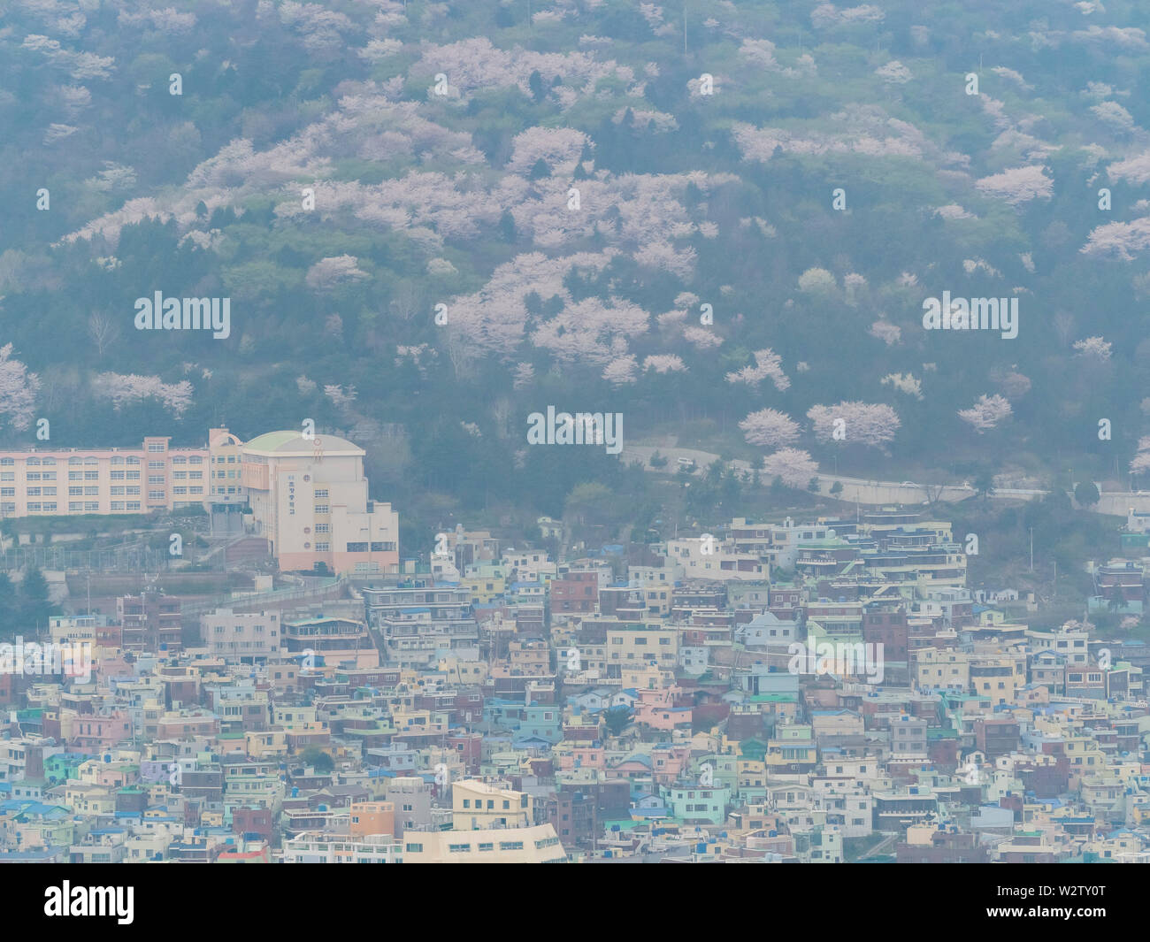 Aerial view of the Busan cityscape from Busan Tower at Busan, South ...