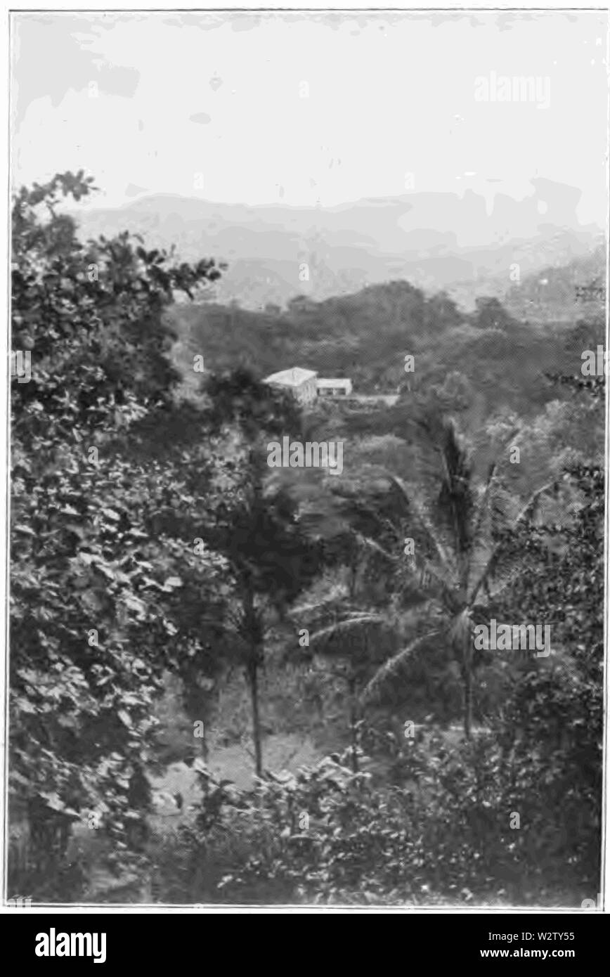 Ceylon estate hi-res stock photography and images - Alamy