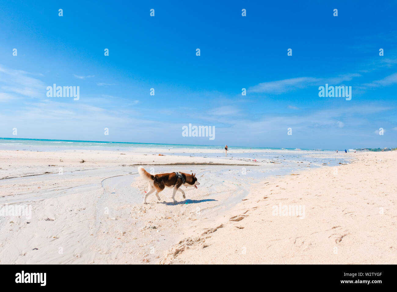 Bantayan island hi-res stock photography and images - Alamy