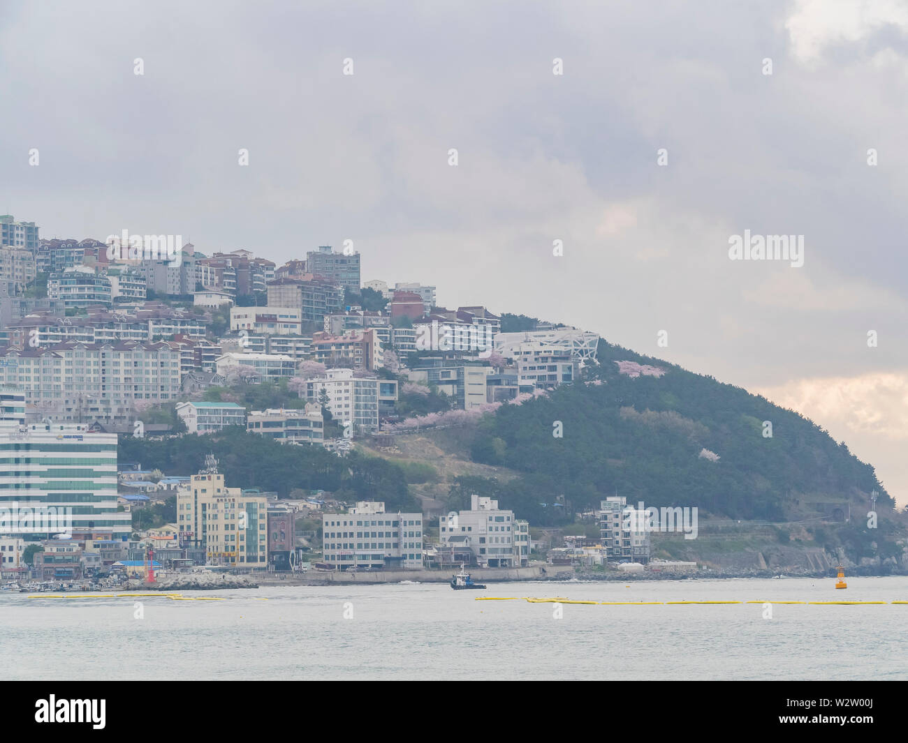 Many building in the famous Haeundae District at Busan, South Korea ...