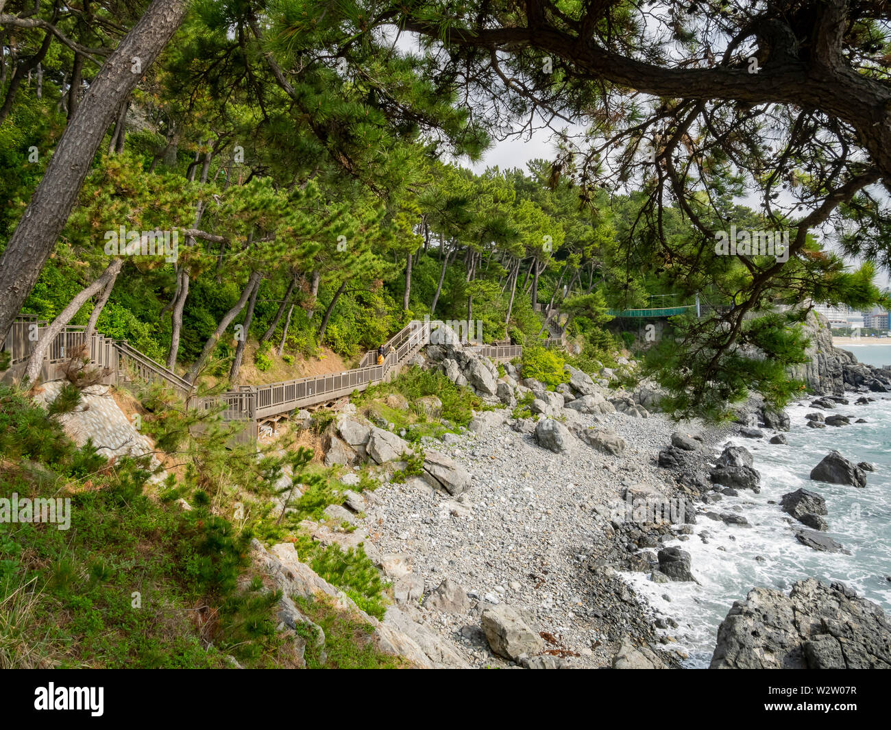 Korean urban nature hi-res stock photography and images - Alamy