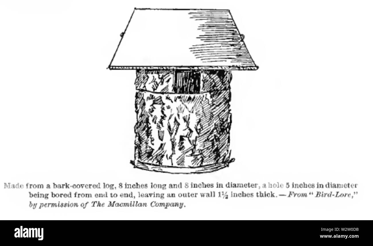 With some his helpers Cut Out Stock Images & Pictures - Alamy