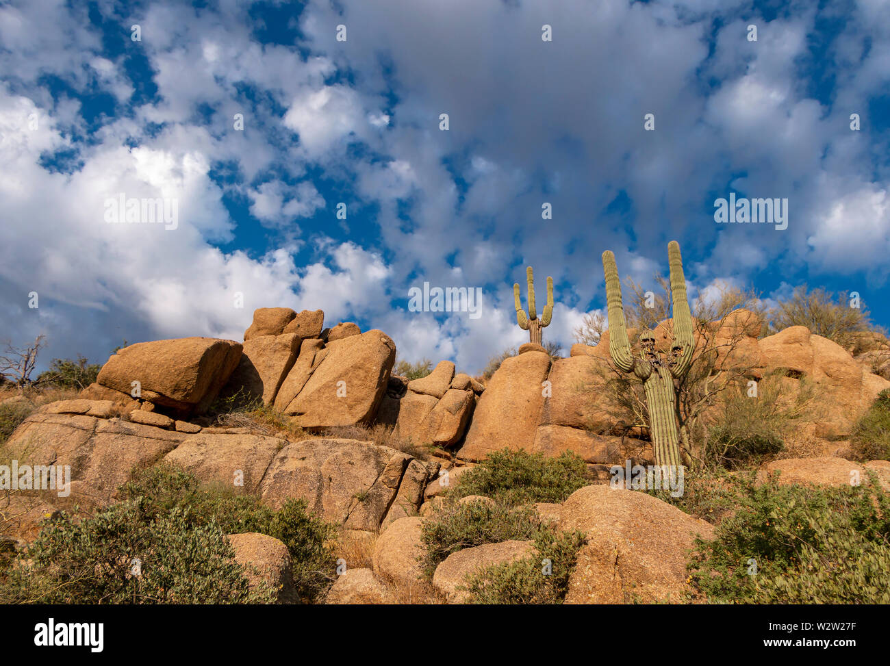 Saguaro Cactus with rock formation and clouds in desert background ...