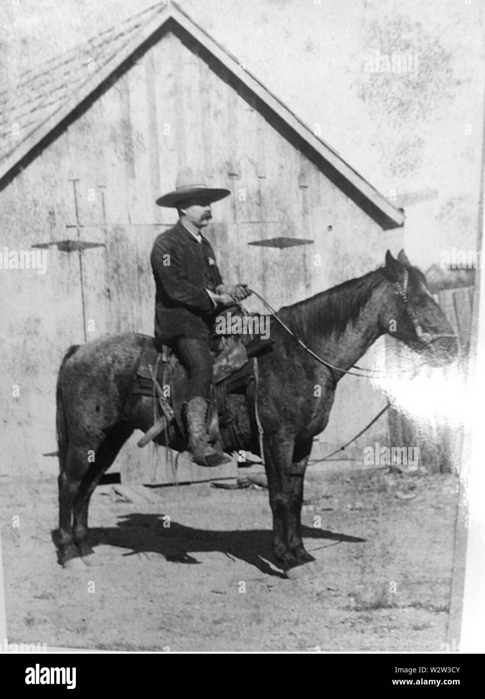 Goodfellow hi-res stock photography and images - Alamy