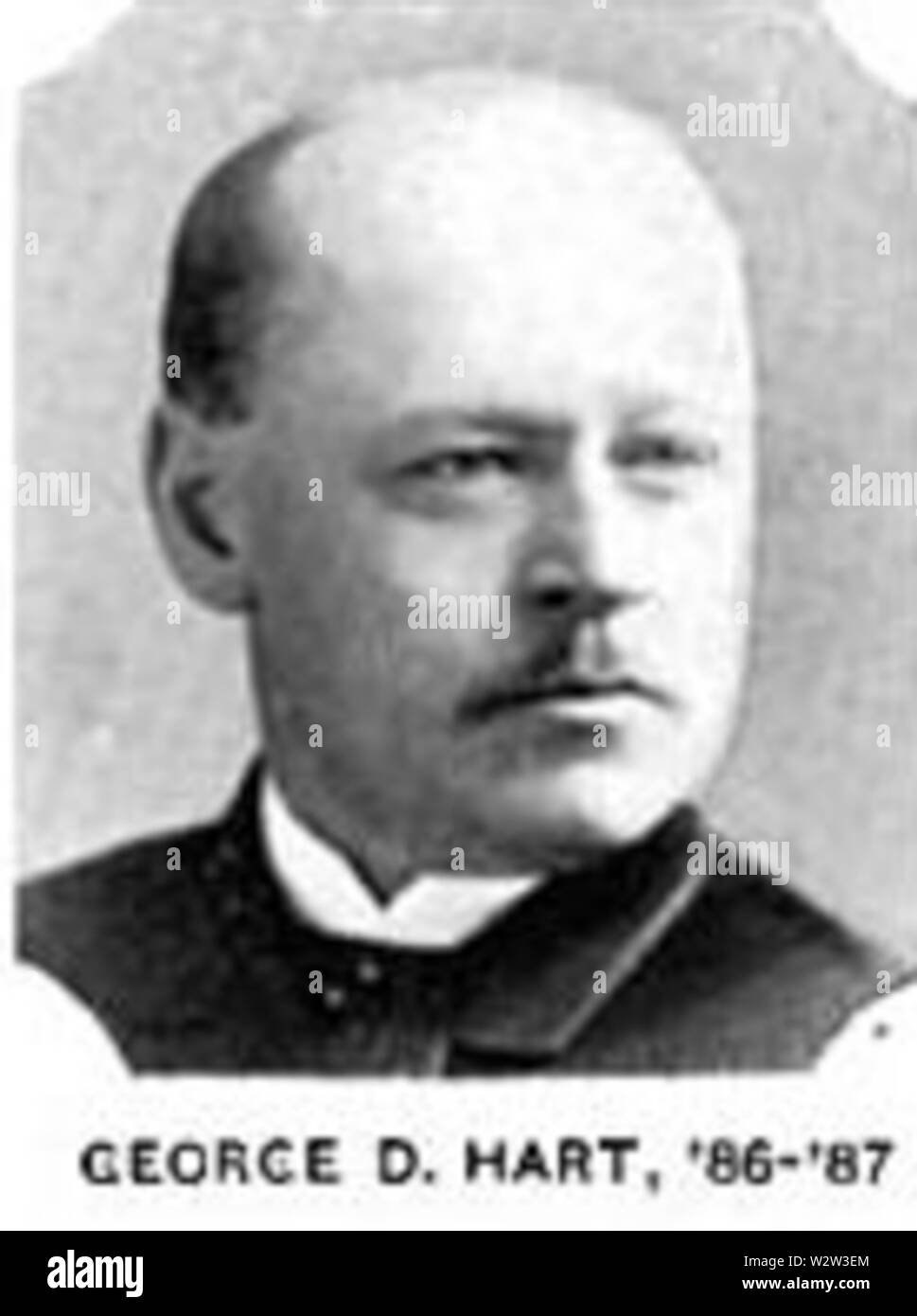 D hart hi-res stock photography and images - Alamy