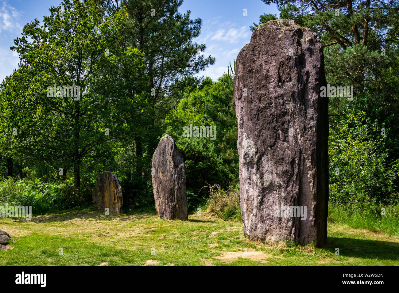 Neolithic Celtic standing stones or menhirs, Monteneuf, Broceliande ...