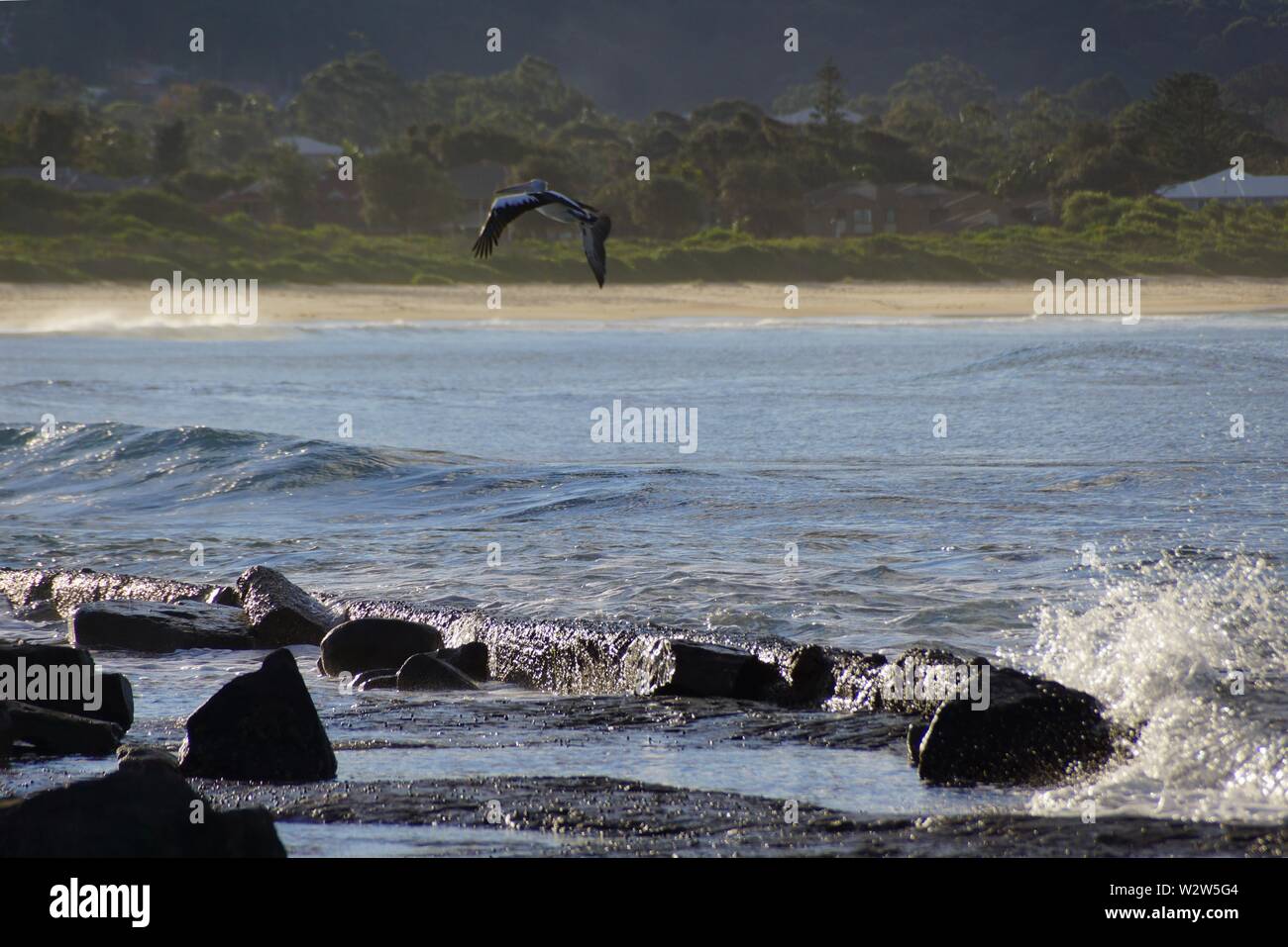 Bellambi hi-res stock photography and images - Alamy