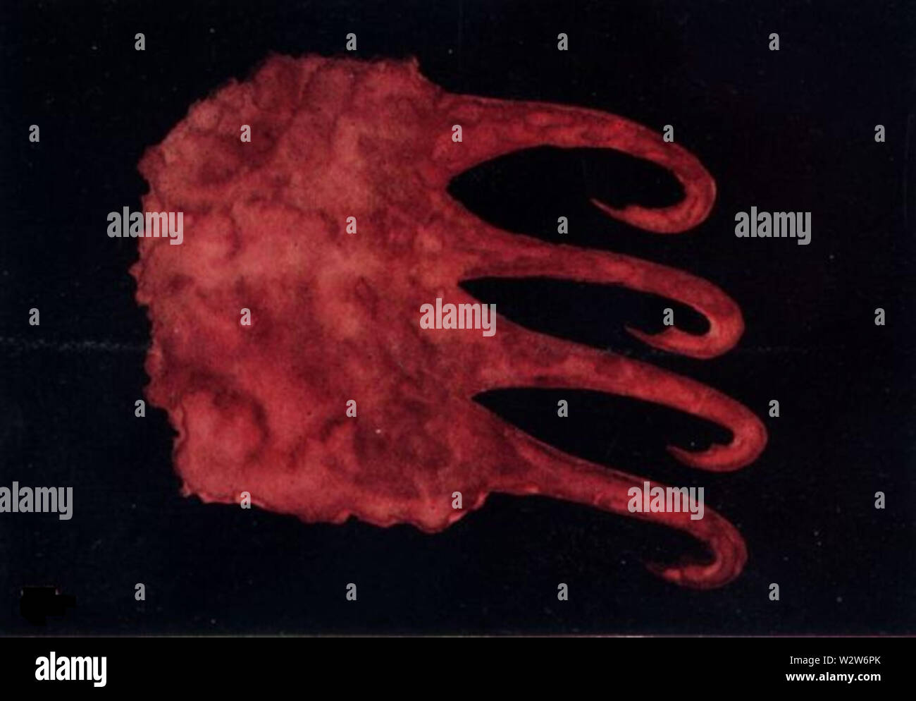 Greed for alcohol - Annie Besant Thought Form - Project Gutenberg eText ...