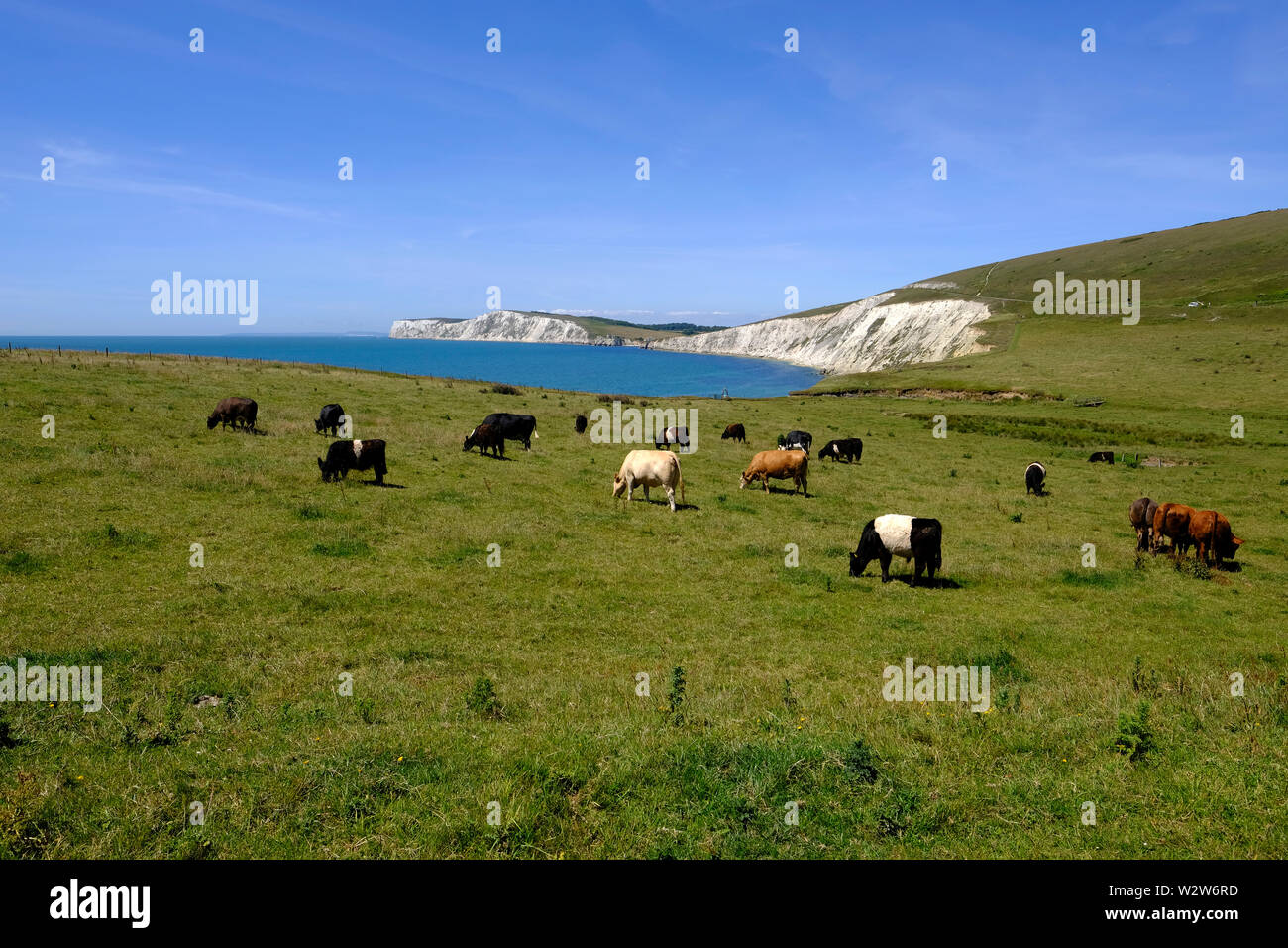 Wide view of Compton Bay with Tennyson Down and chalk cliffs in the ...