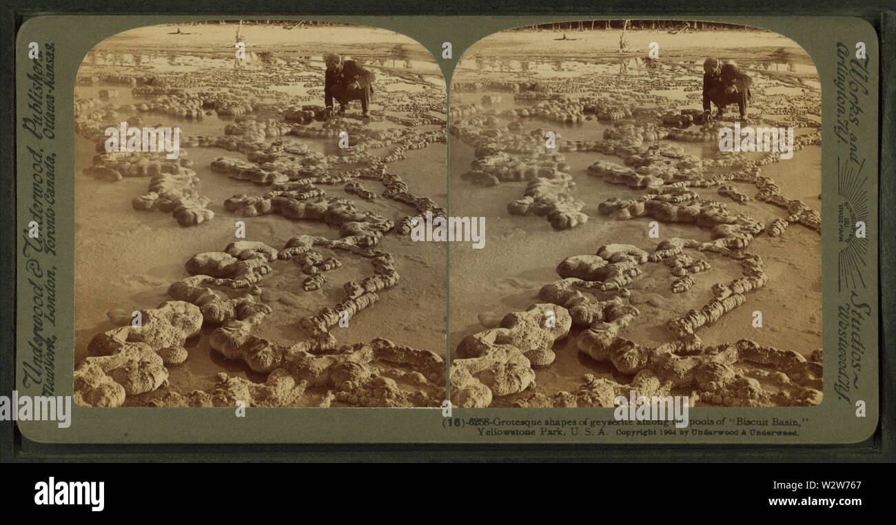 Grotesque shapes among the pools of 'Biscuit Basin,' Yellowstone Park ...