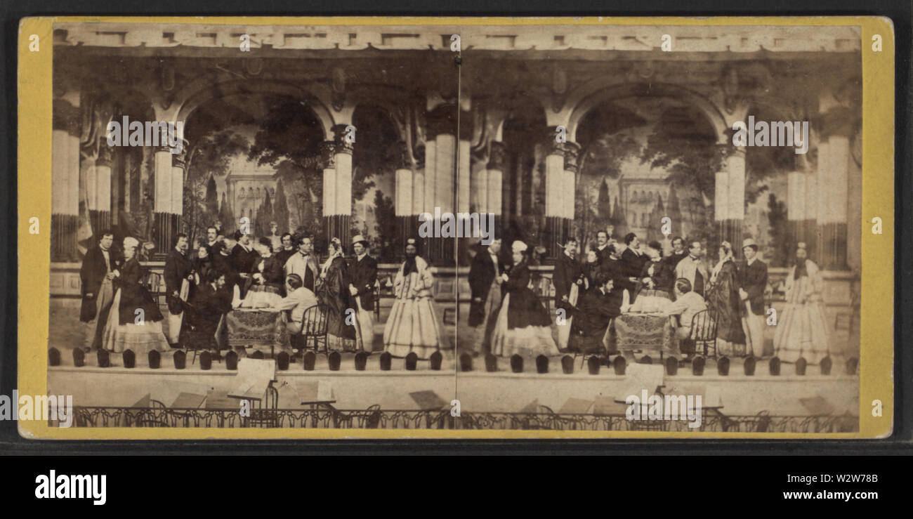 Group of Actors on the Stage of Leland's Opera House, by E & HT Anthony ...