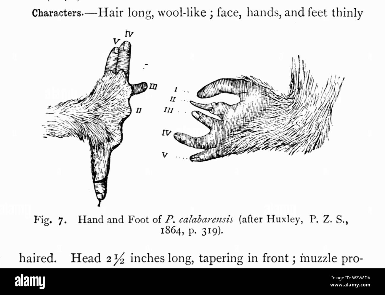 Hand and book Black and White Stock Photos & Images - Alamy