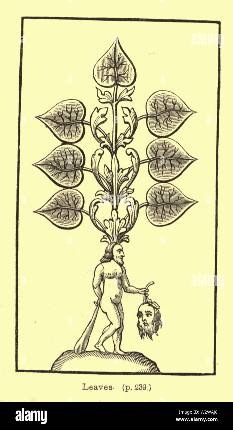 History of Playing Cards (1848) 40 Stock Photo - Alamy