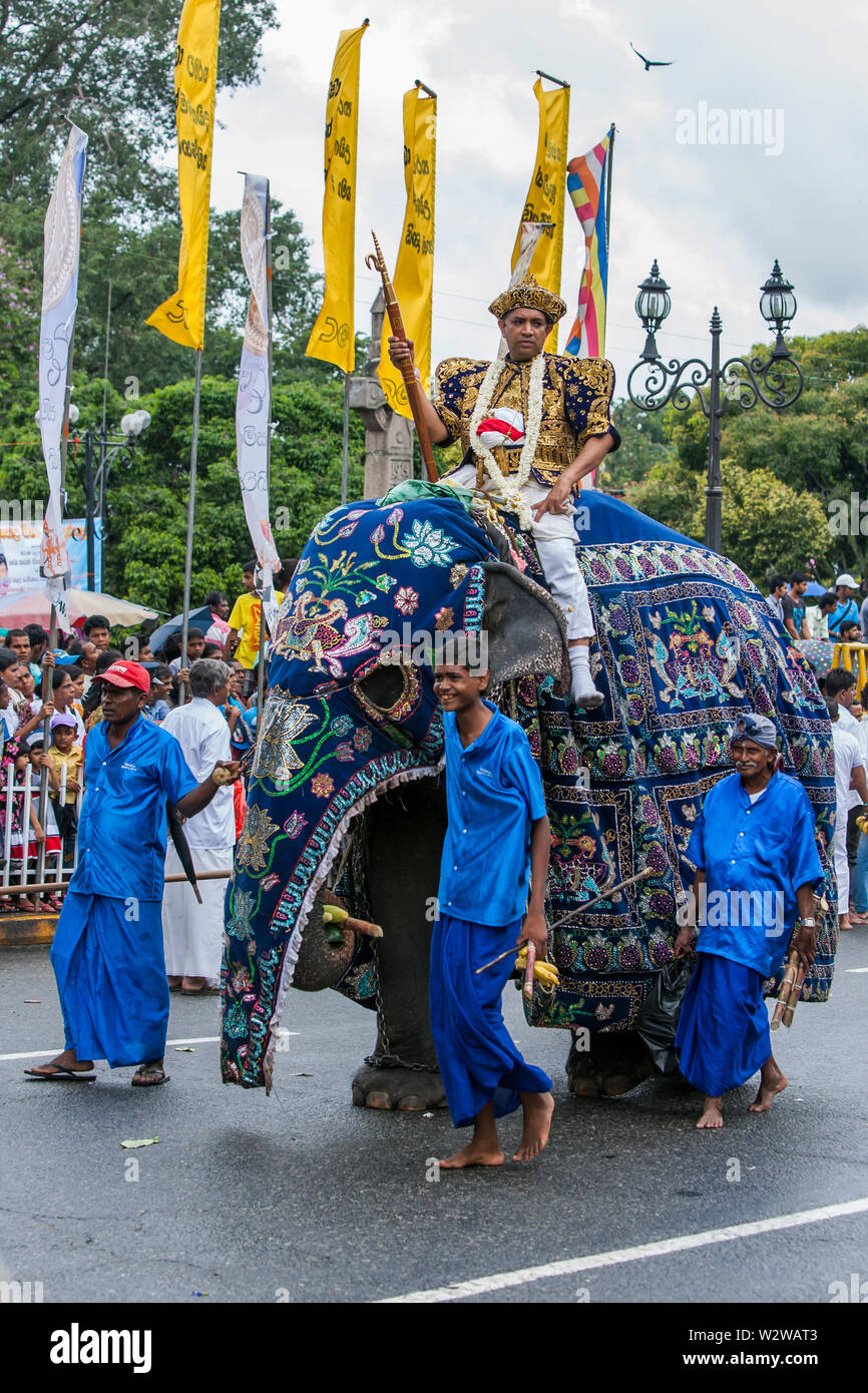 A ceremonial elephant carrying a Buddhist temple priest parades along ...