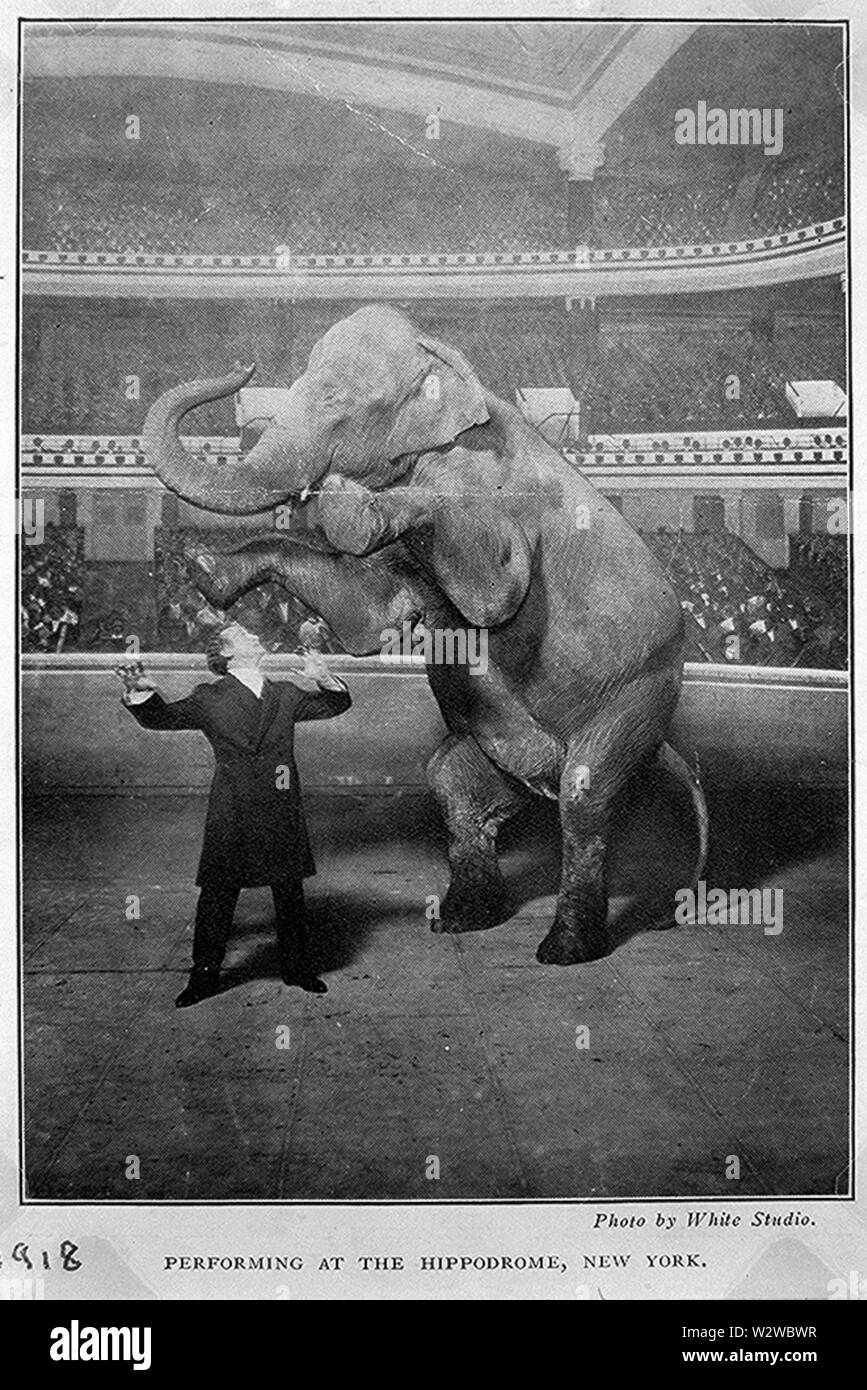 Others might vanish rabbits, but in 1918, on the brightly-lit stage of ...