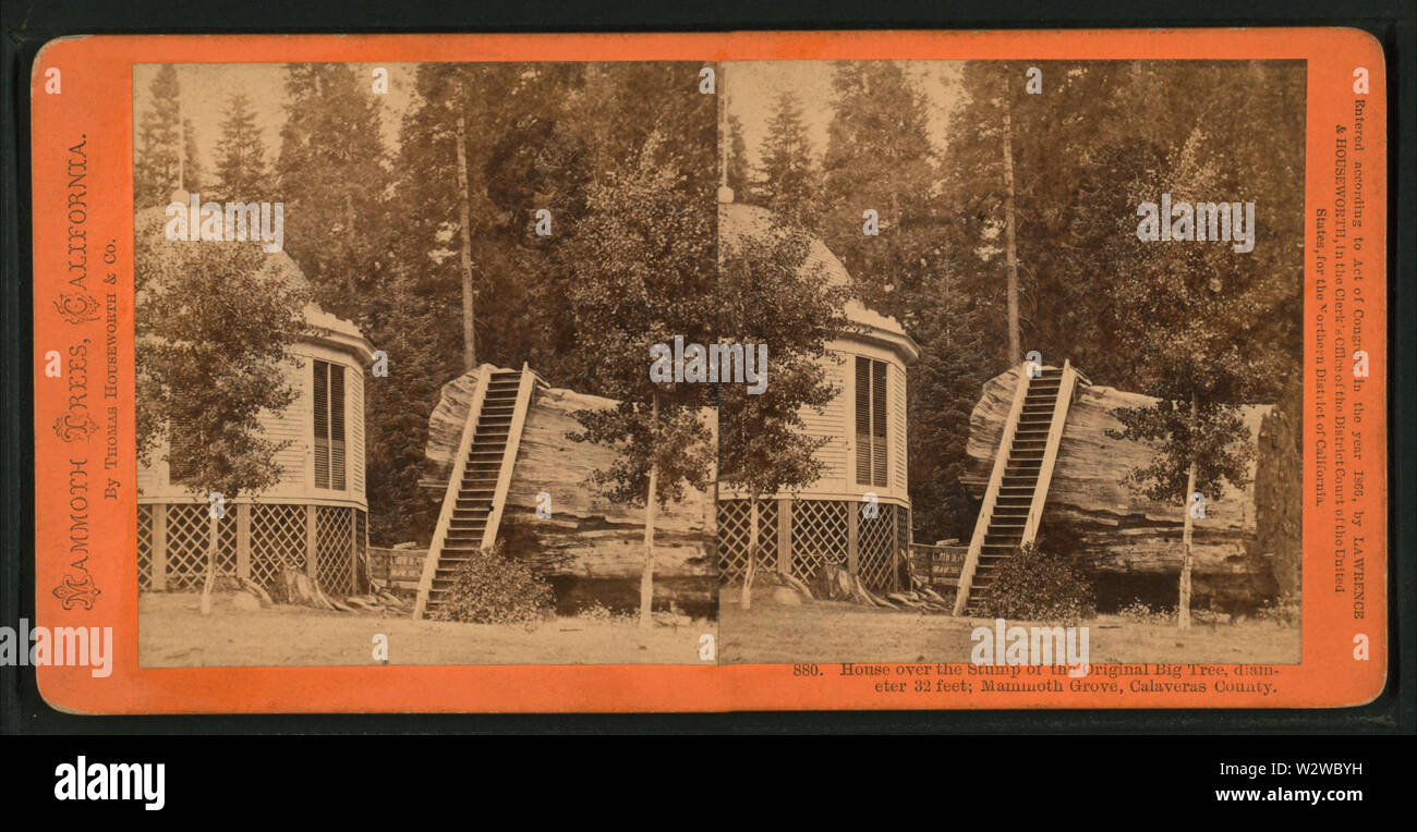 House over the Stump of the Original Big tree, diameter 32 feet ...