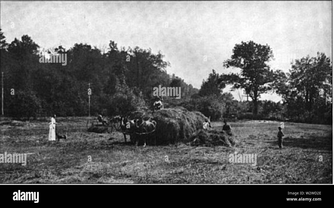 Ida tarbell hi-res stock photography and images - Alamy