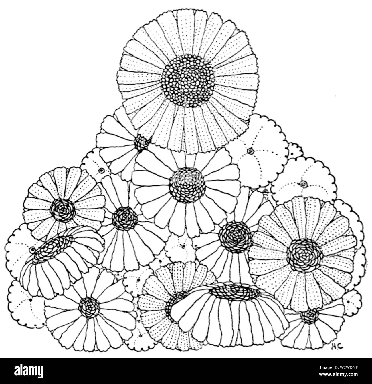 Spring material Black and White Stock Photos & Images - Alamy