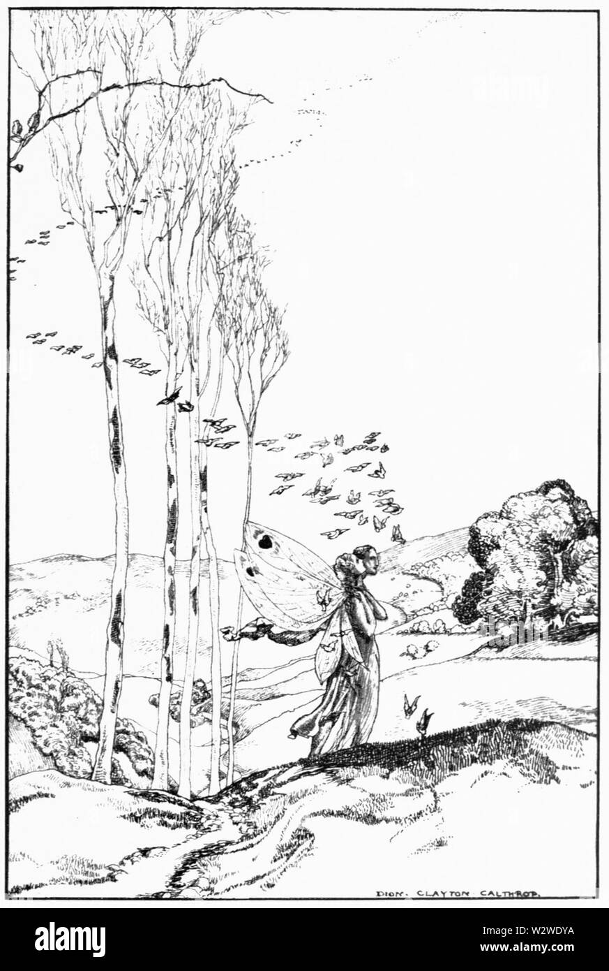 1900s illustration drawing hi-res stock photography and images - Alamy