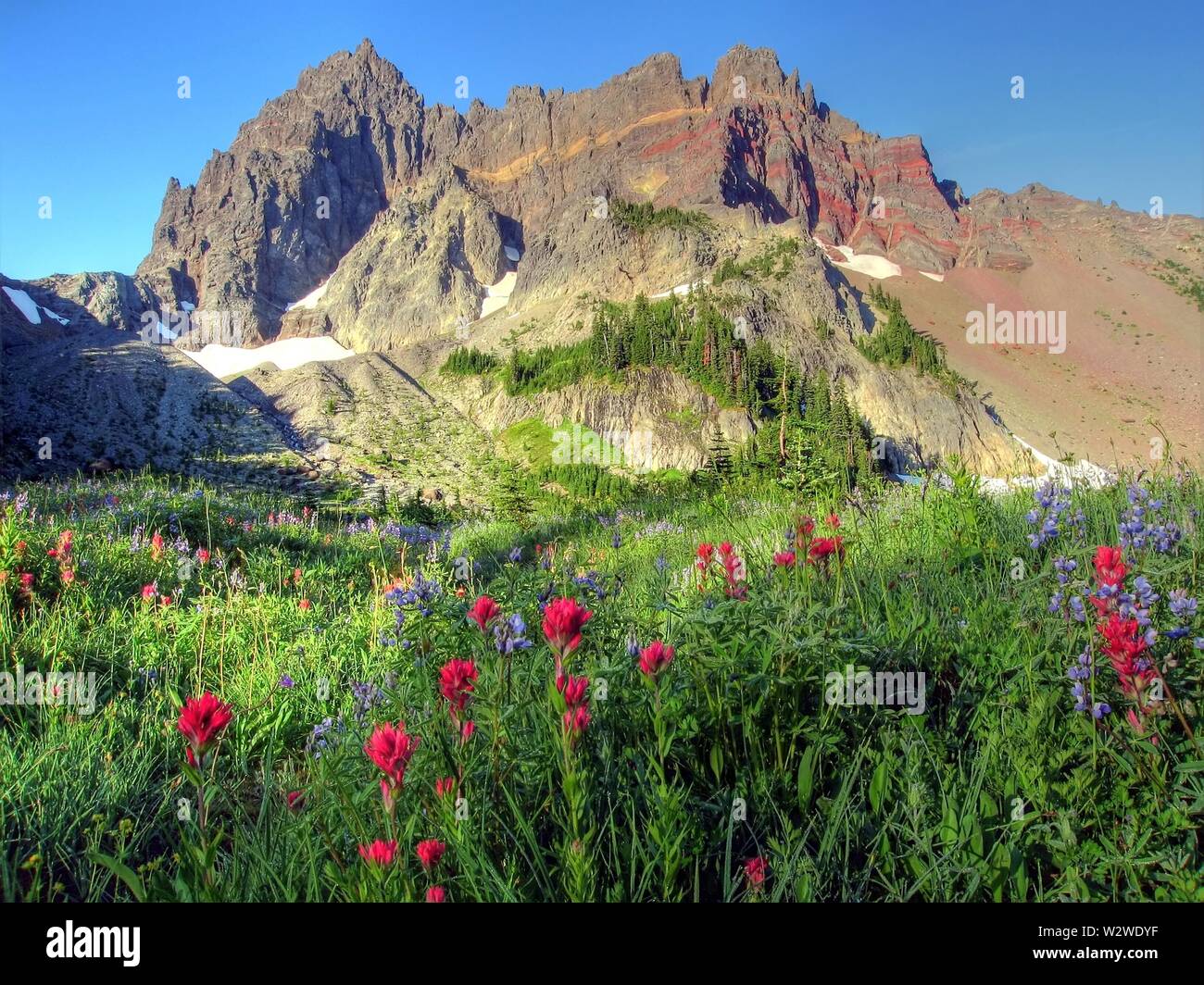 Three Fingered Jack Mountain and Canyon Creek Meadows Near Sisters ...