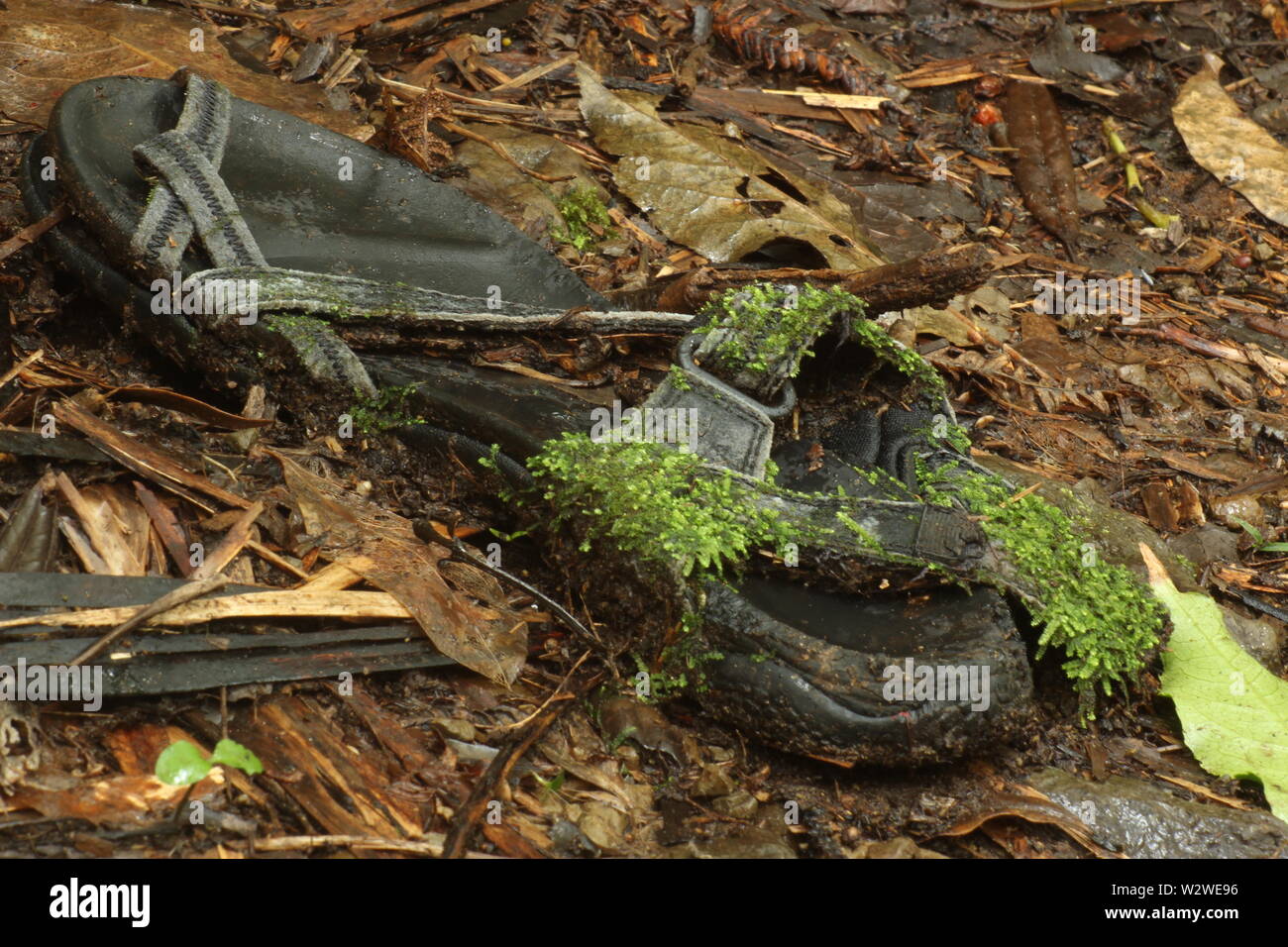 Old sandal hi-res stock photography and images - Alamy