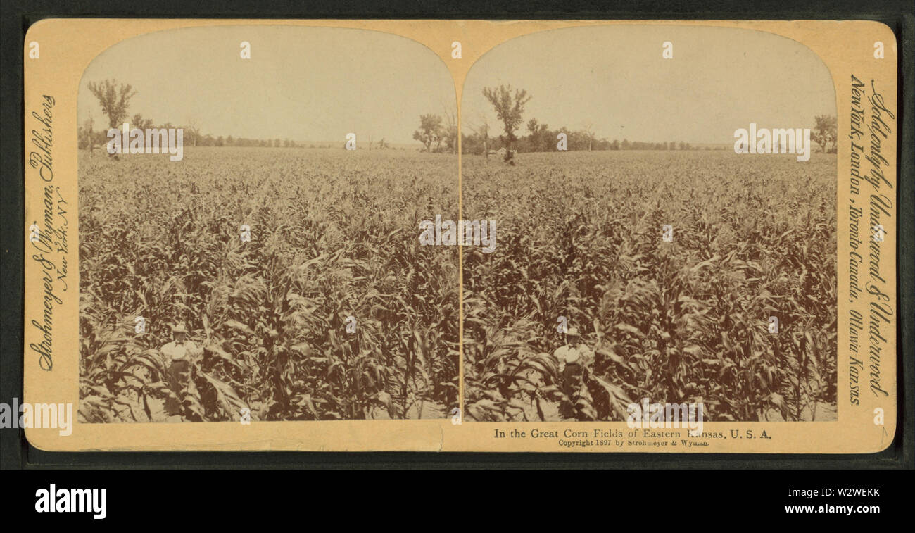 Cornfields midwest hi-res stock photography and images - Alamy
