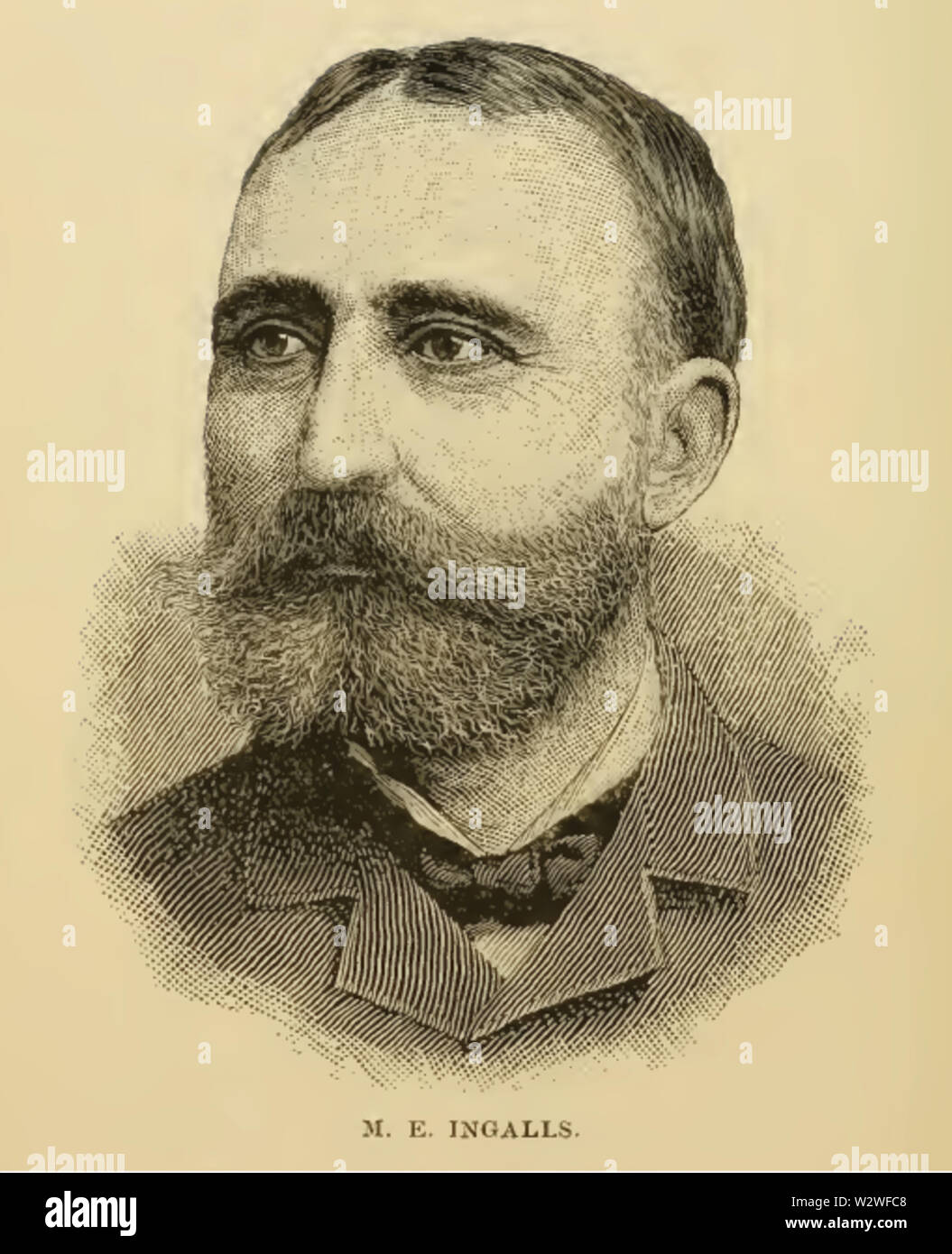 Melville e hi-res stock photography and images - Alamy