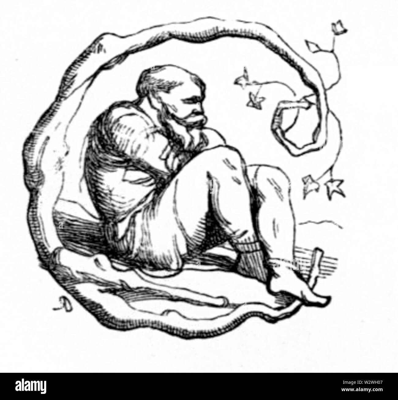 Jack and the beanstalk illustration Black and White Stock Photos ...