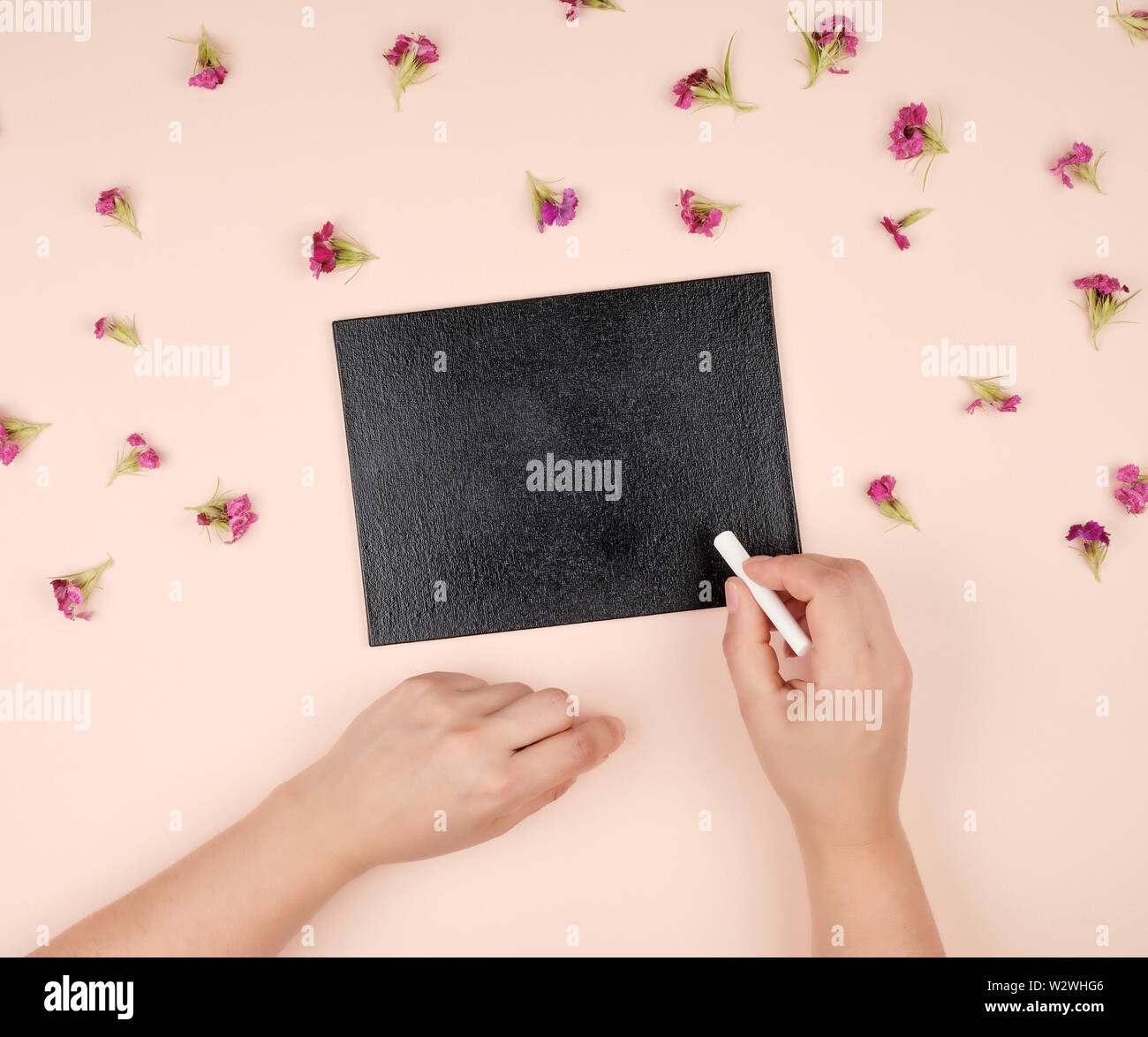 black chalk frame and two female hands with a piece of white chalk ...