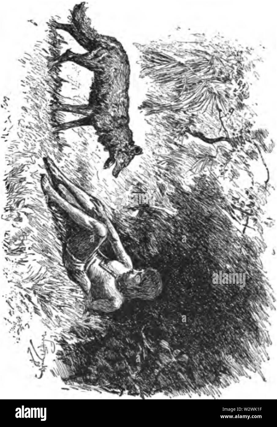 Jungle nature Black and White Stock Photos & Images - Alamy