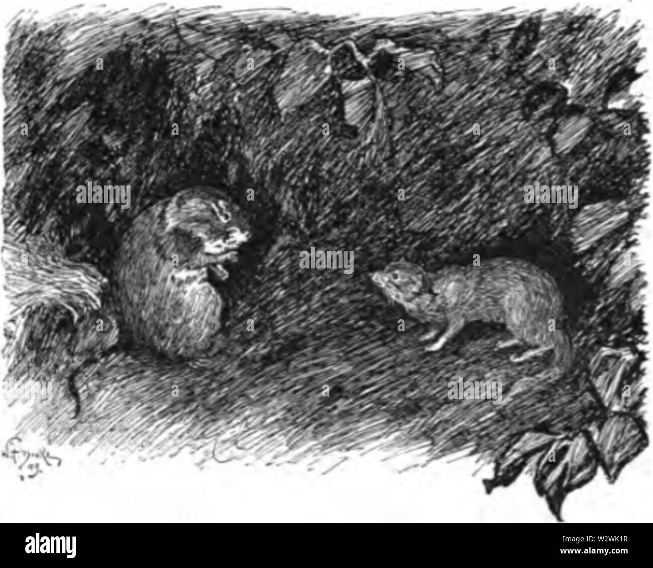 Children's book characters Cut Out Stock Images & Pictures - Alamy