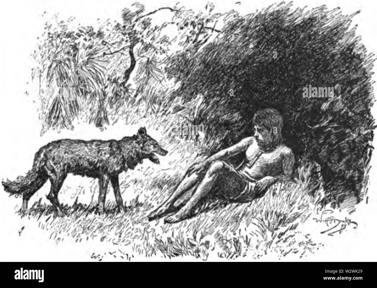 Jungle book p122r Stock Photo - Alamy