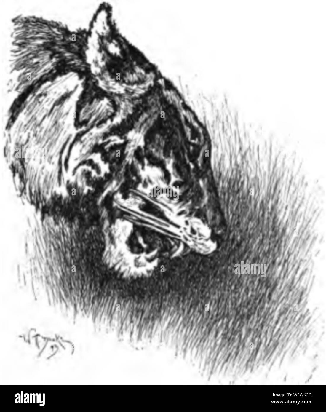 P133 Black and White Stock Photos & Images - Alamy