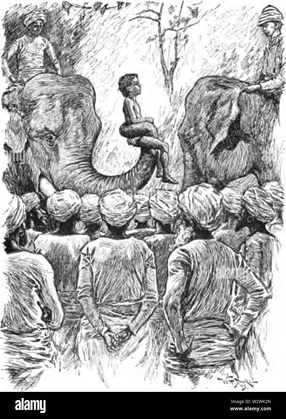 Jungle animals wildlife Black and White Stock Photos & Images - Alamy