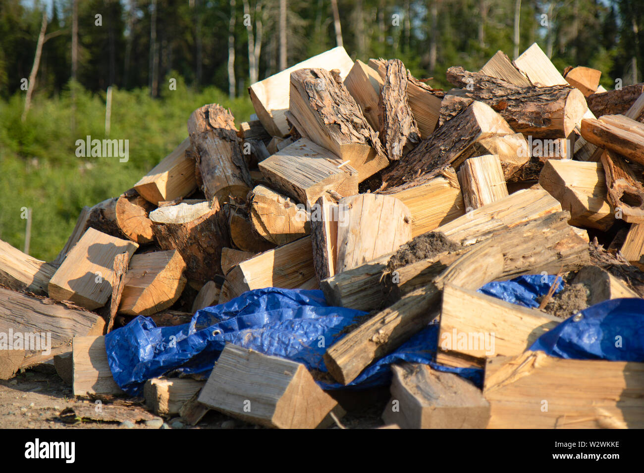 Large logpile hi-res stock photography and images - Alamy