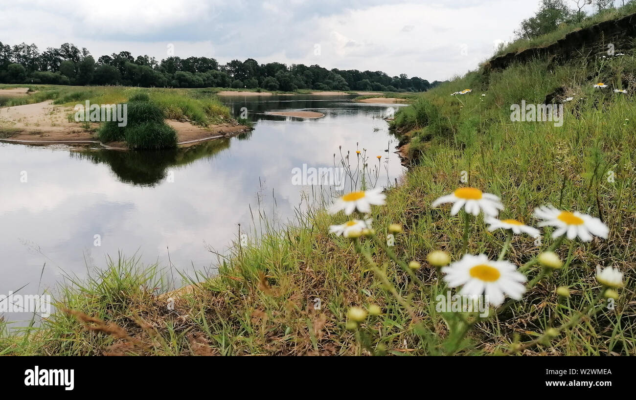 Aken, Germany. 20th June, 2019. Panoramic view over the Elbe river near ...