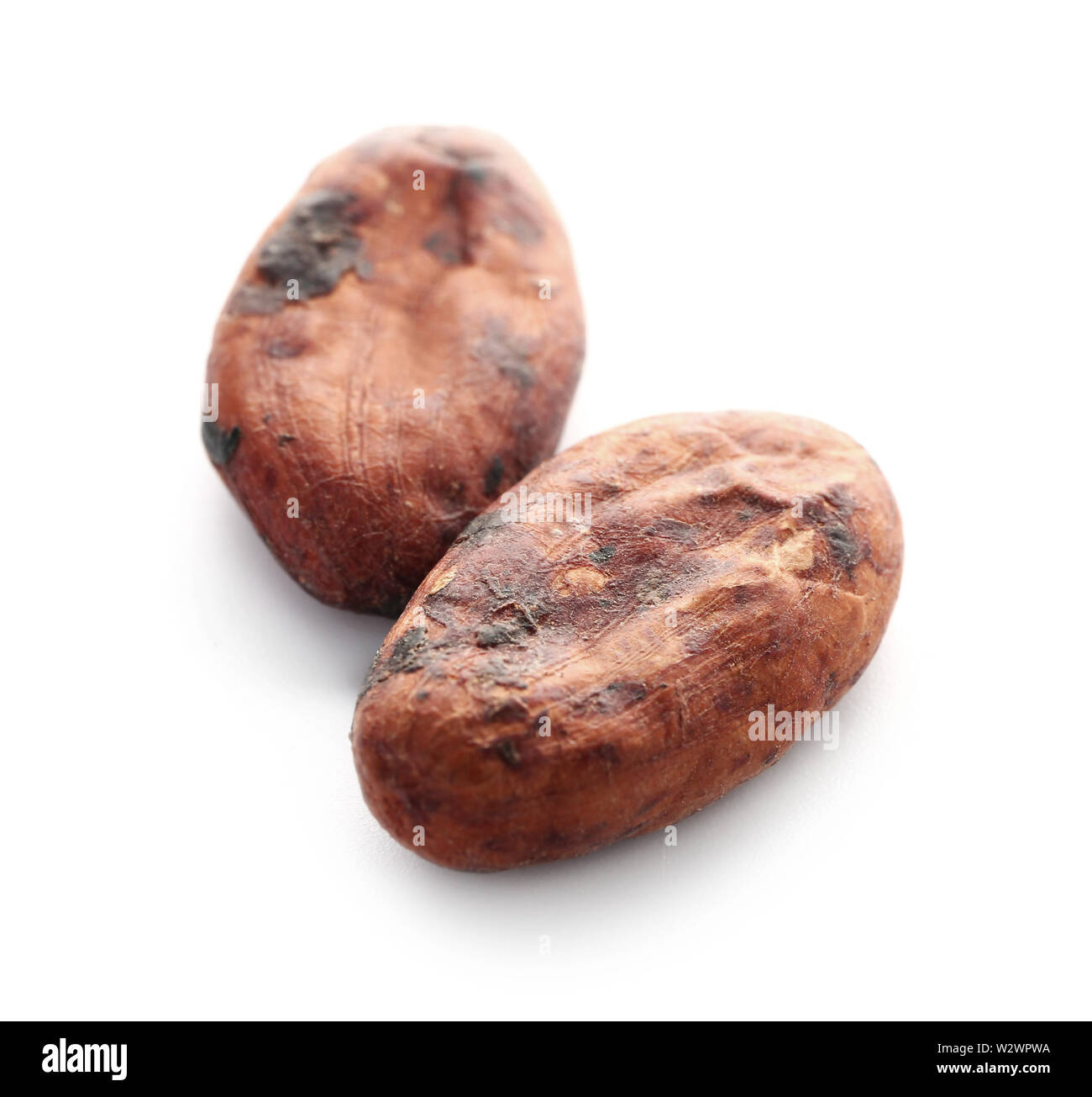 Cocoa beans on white background Stock Photo - Alamy